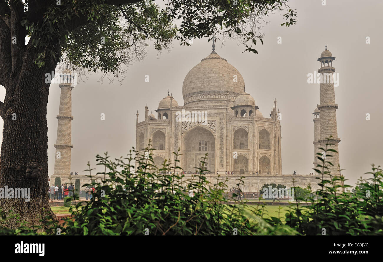 Taj Mahal in frame Stock Photo - Alamy