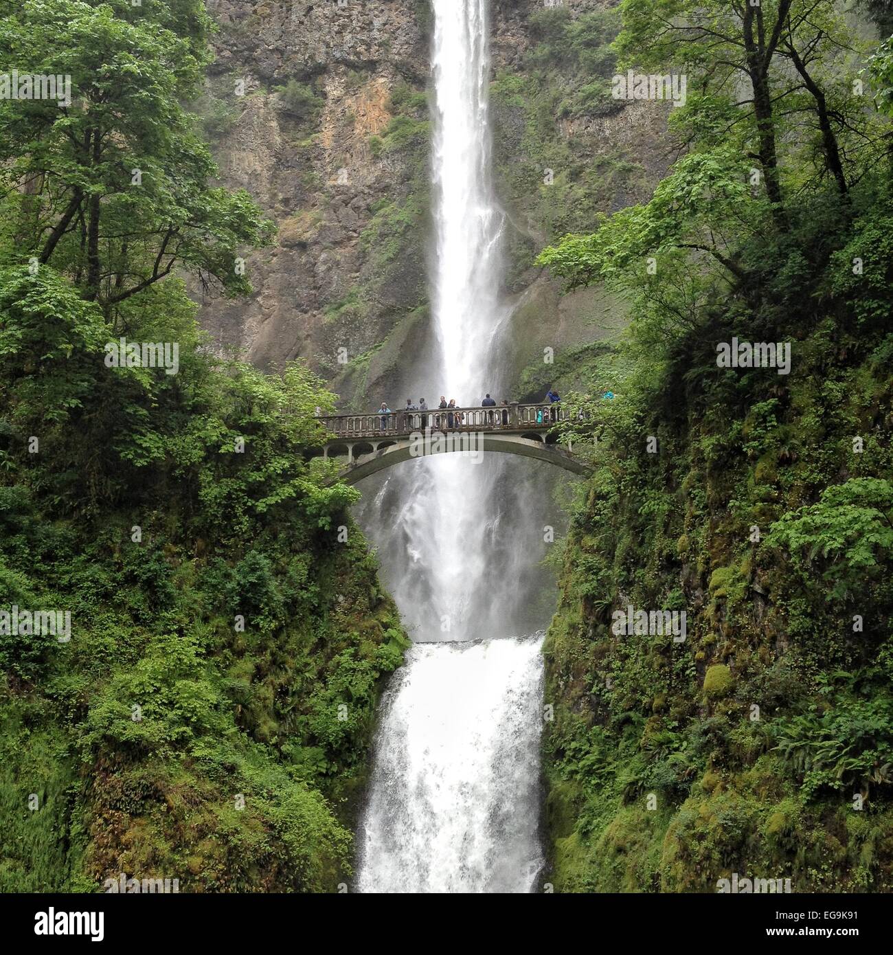 Oregon multnomah falls hi-res stock photography and images - Alamy