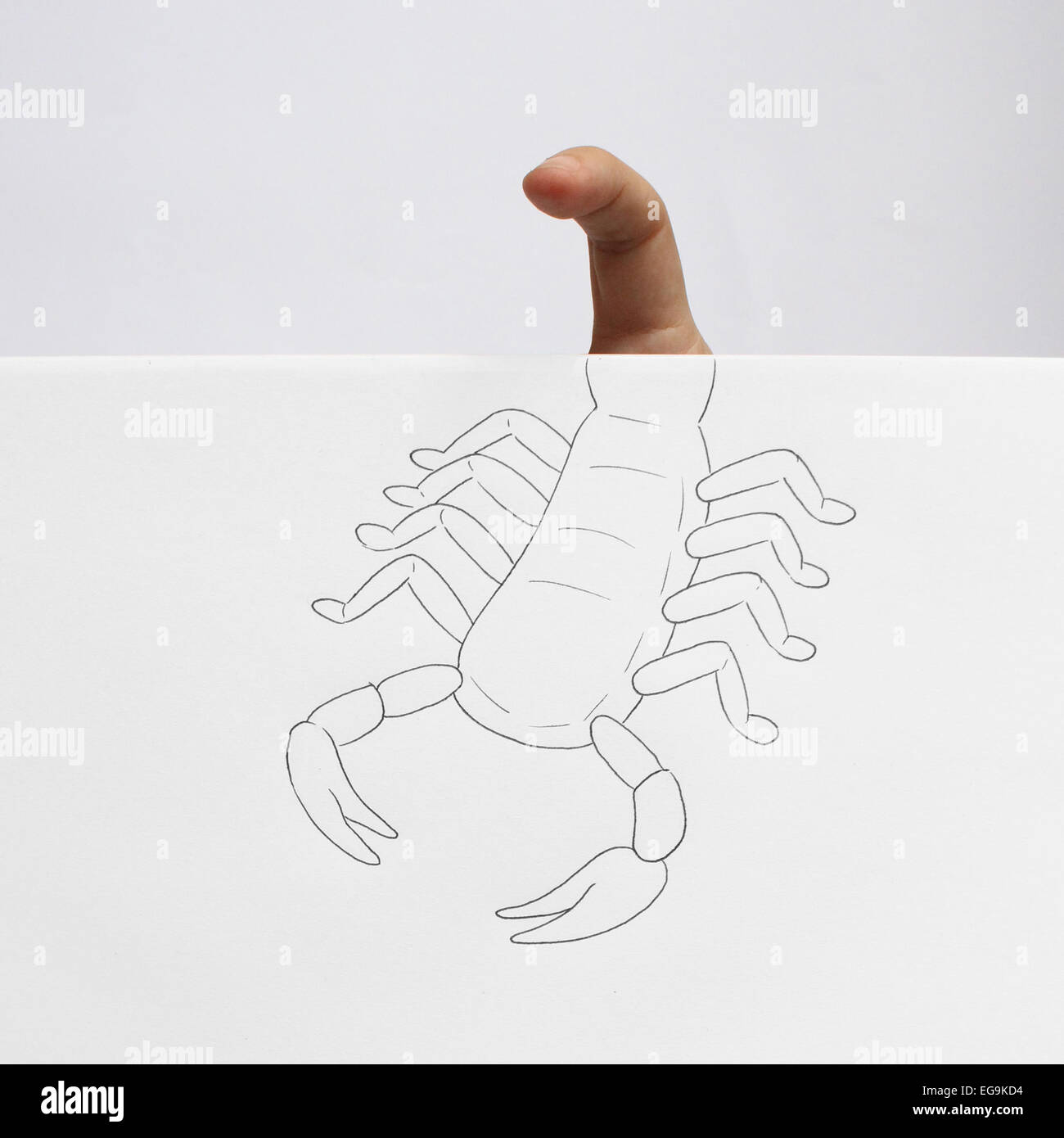 Real scorpion hi-res stock photography and images - Alamy
