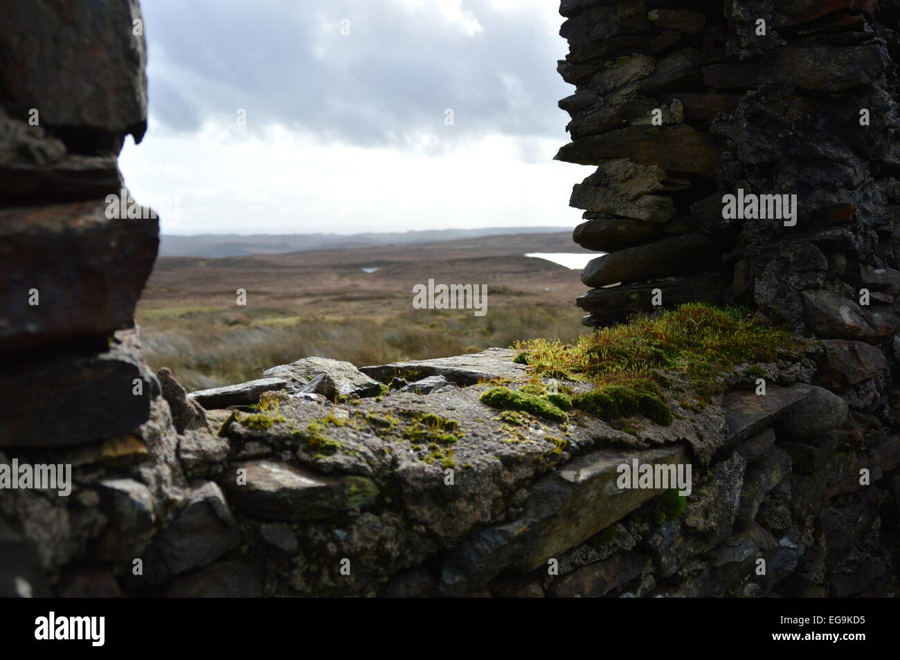 Ireland, Mossy coating on window of old uninhabited house Stock Photo ...