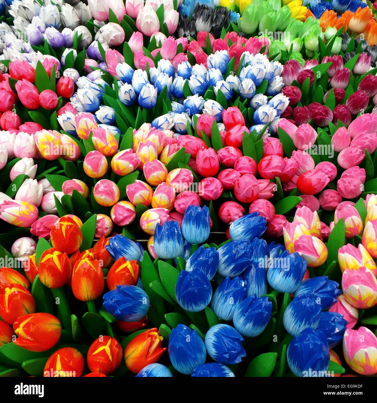 Multi colored tulips hi-res stock photography and images - Alamy