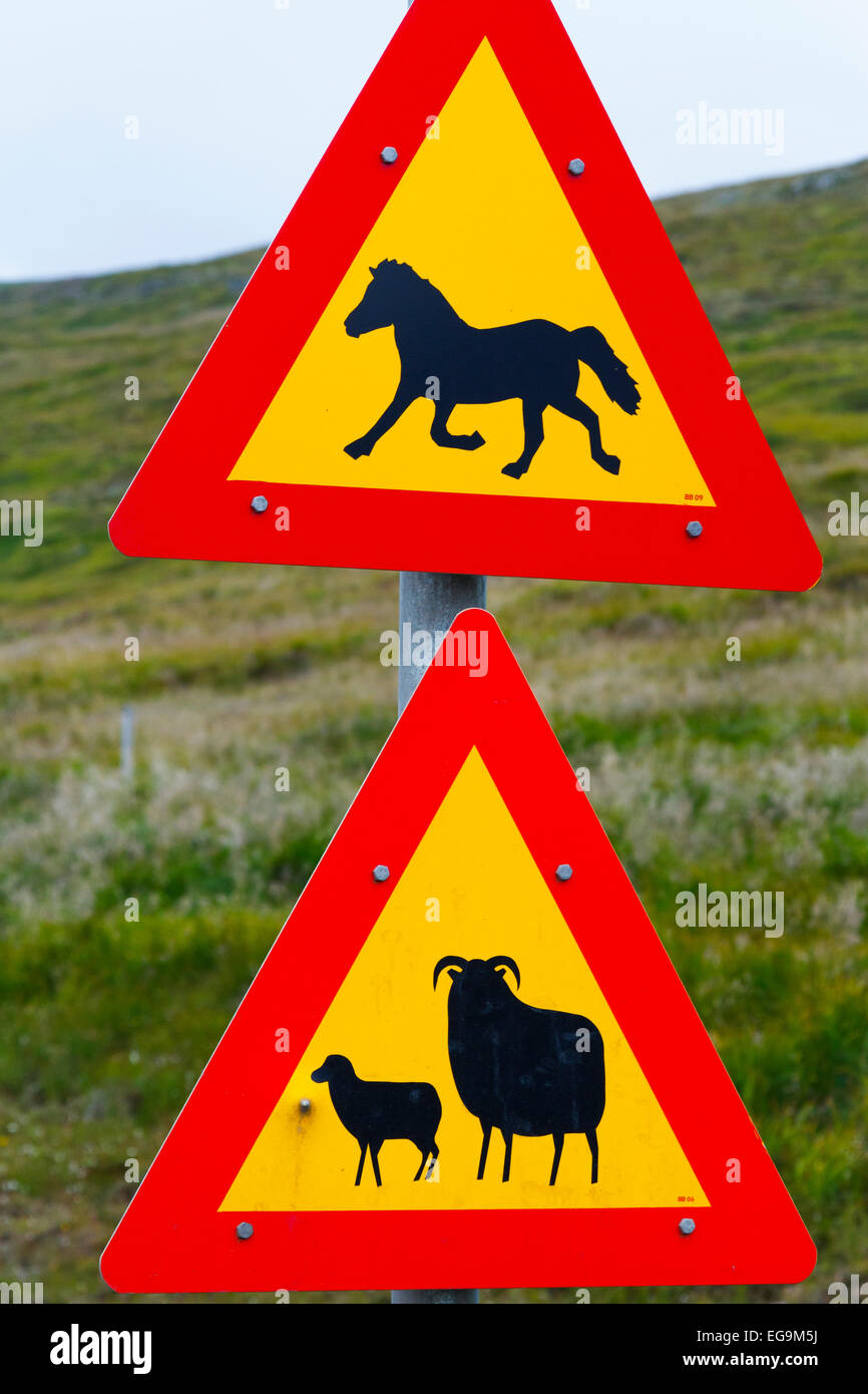 traffic sign. Iceland, Europe Stock Photo - Alamy