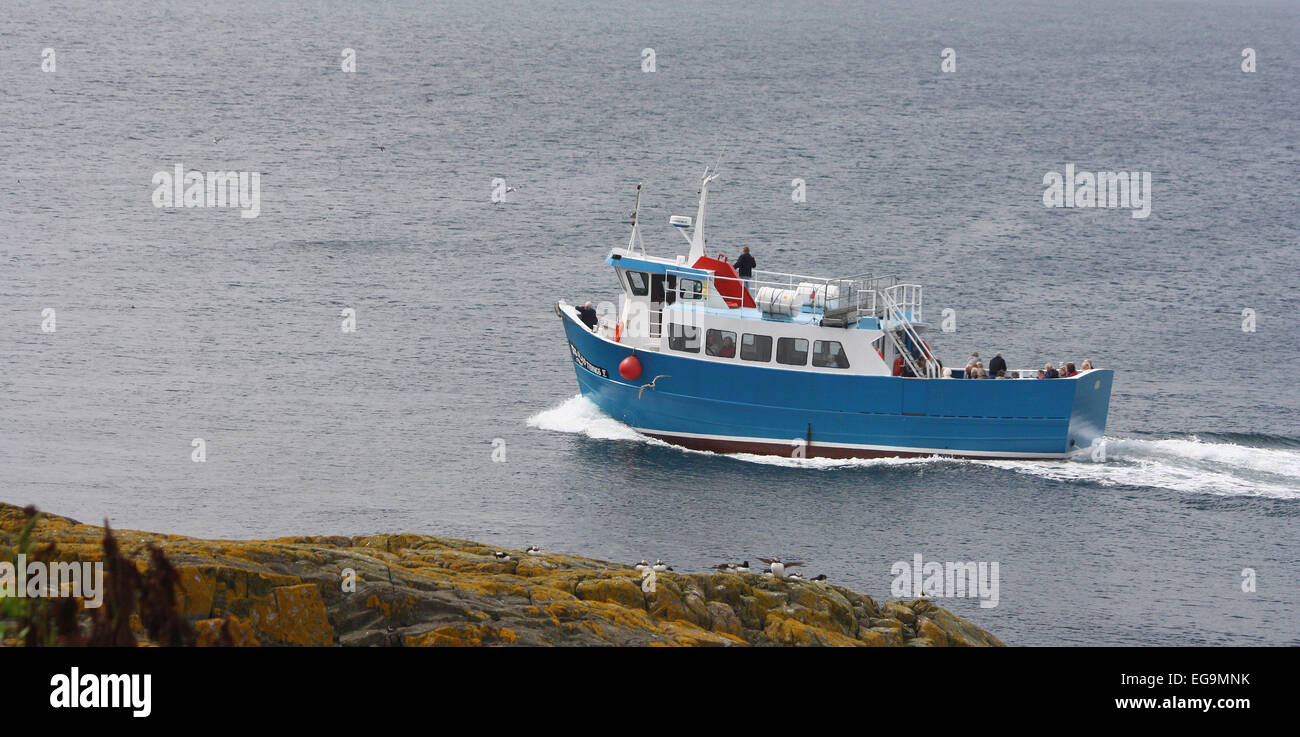 Farne islands tours hi-res stock photography and images - Alamy