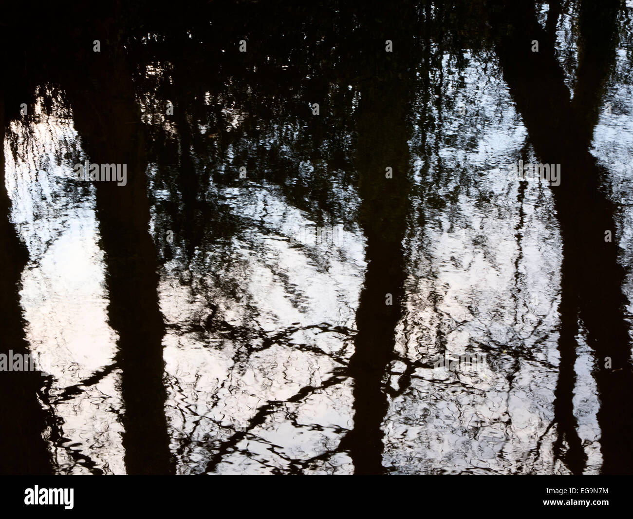 Canal tree reflections hi-res stock photography and images - Alamy