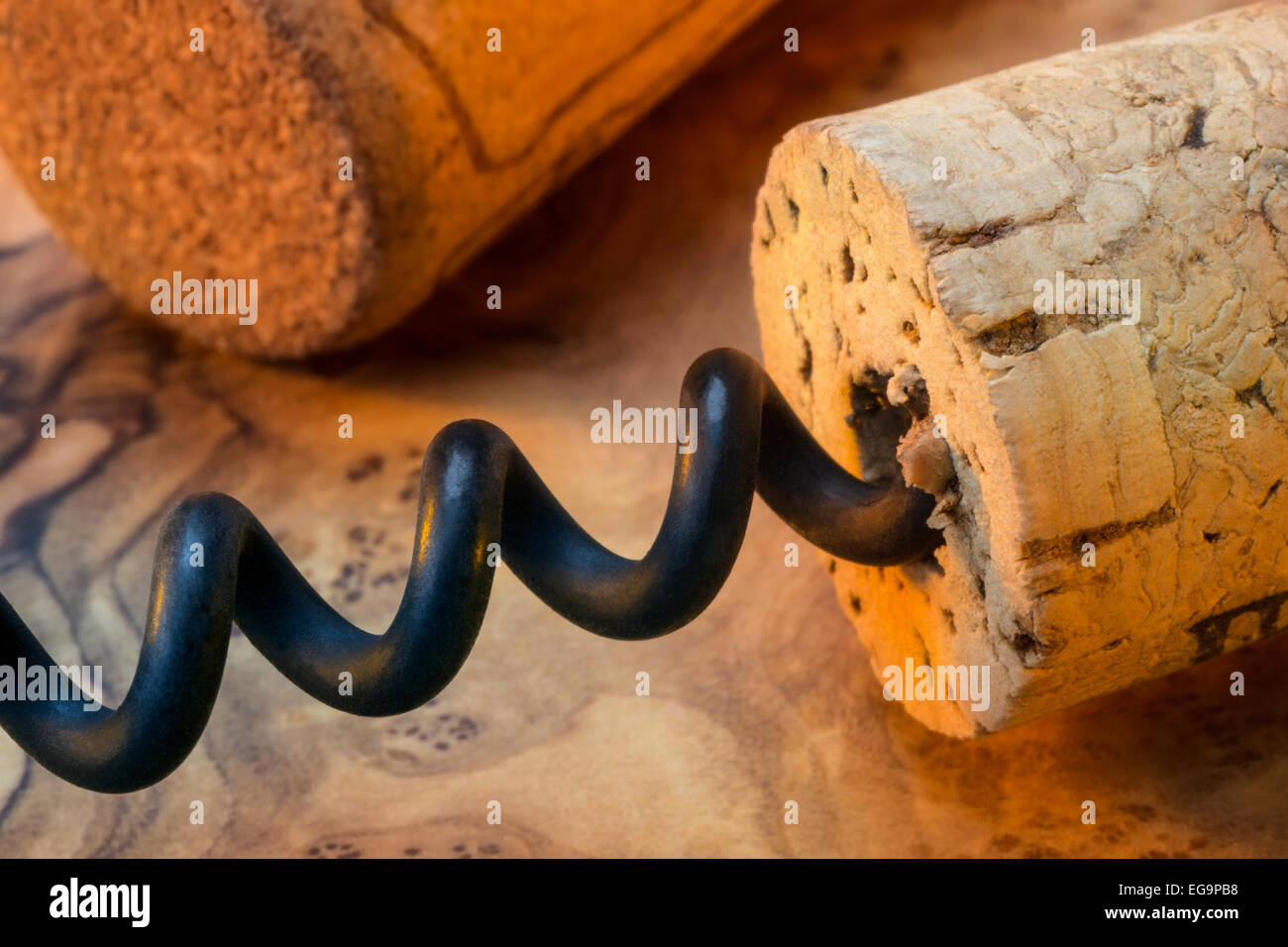 Pulling cork from a wine bottle using a corkscrew Stock Photo - Alamy
