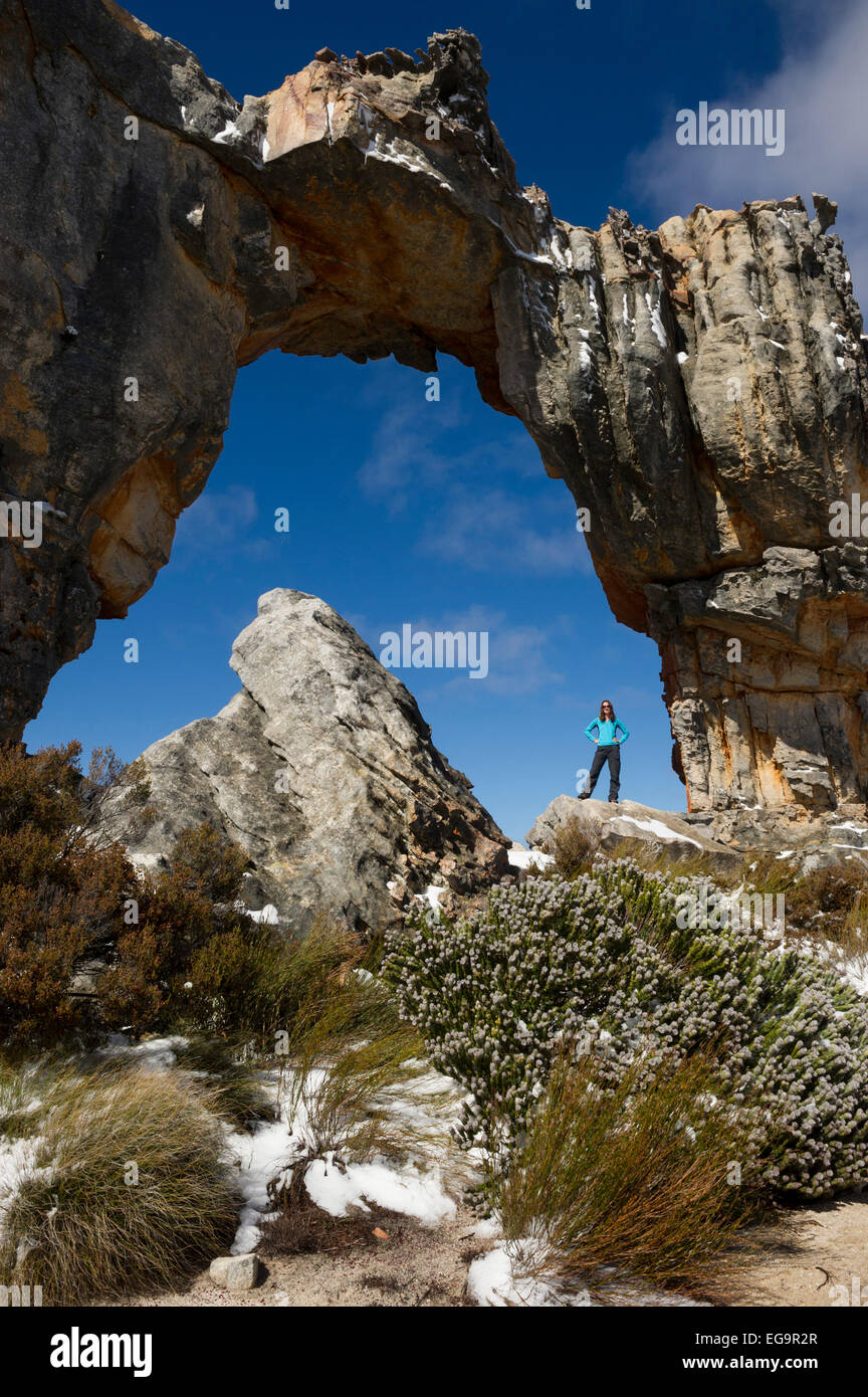 Wolfberg hi-res stock photography and images - Alamy