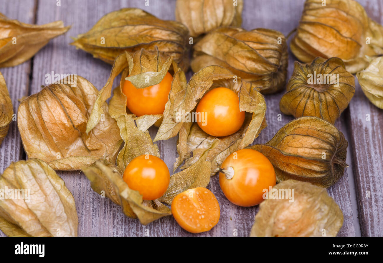 physalis Stock Photo, Royalty Free Image: 78891819 - Alamy