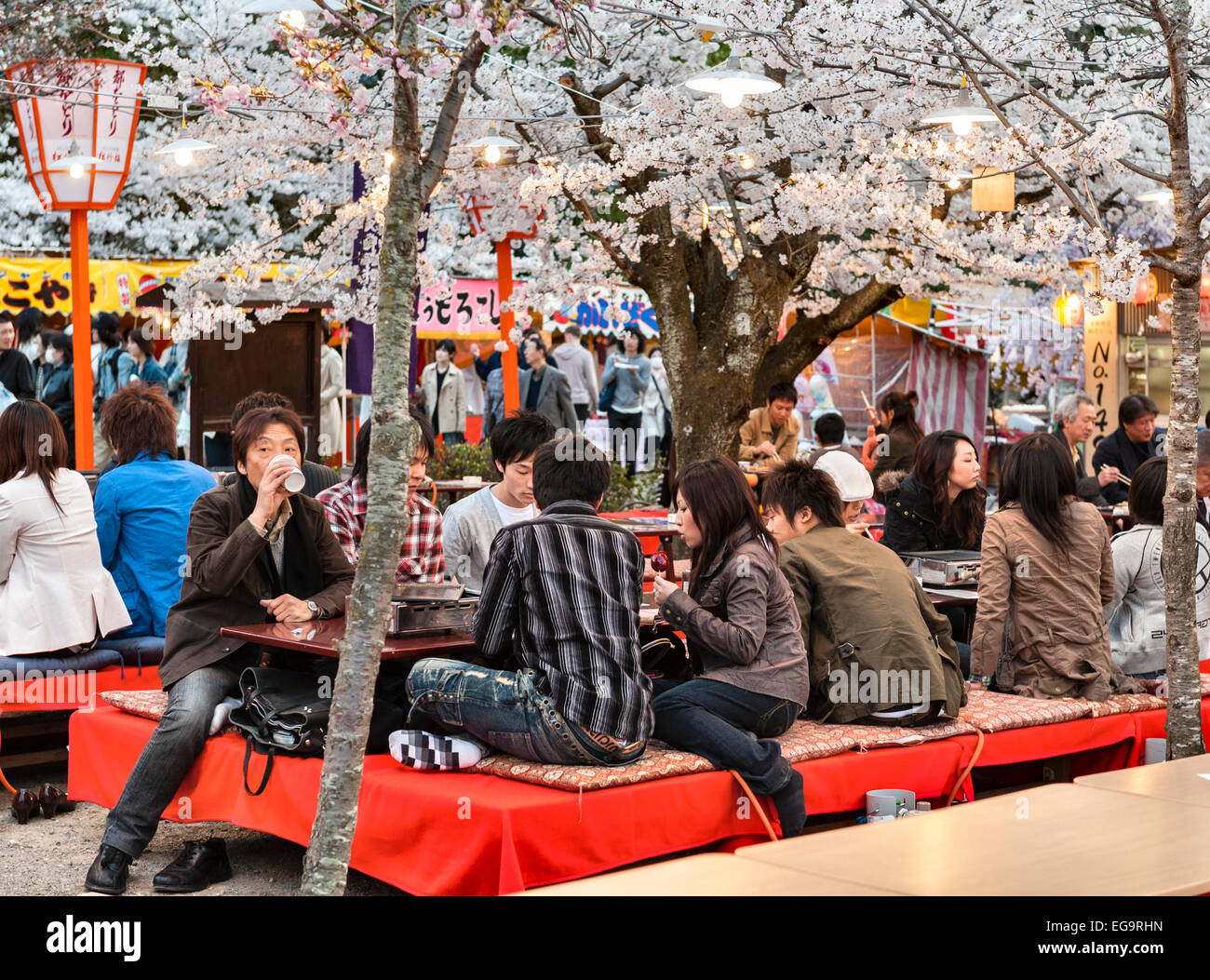 Hanami kyoto hi-res stock photography and images - Alamy