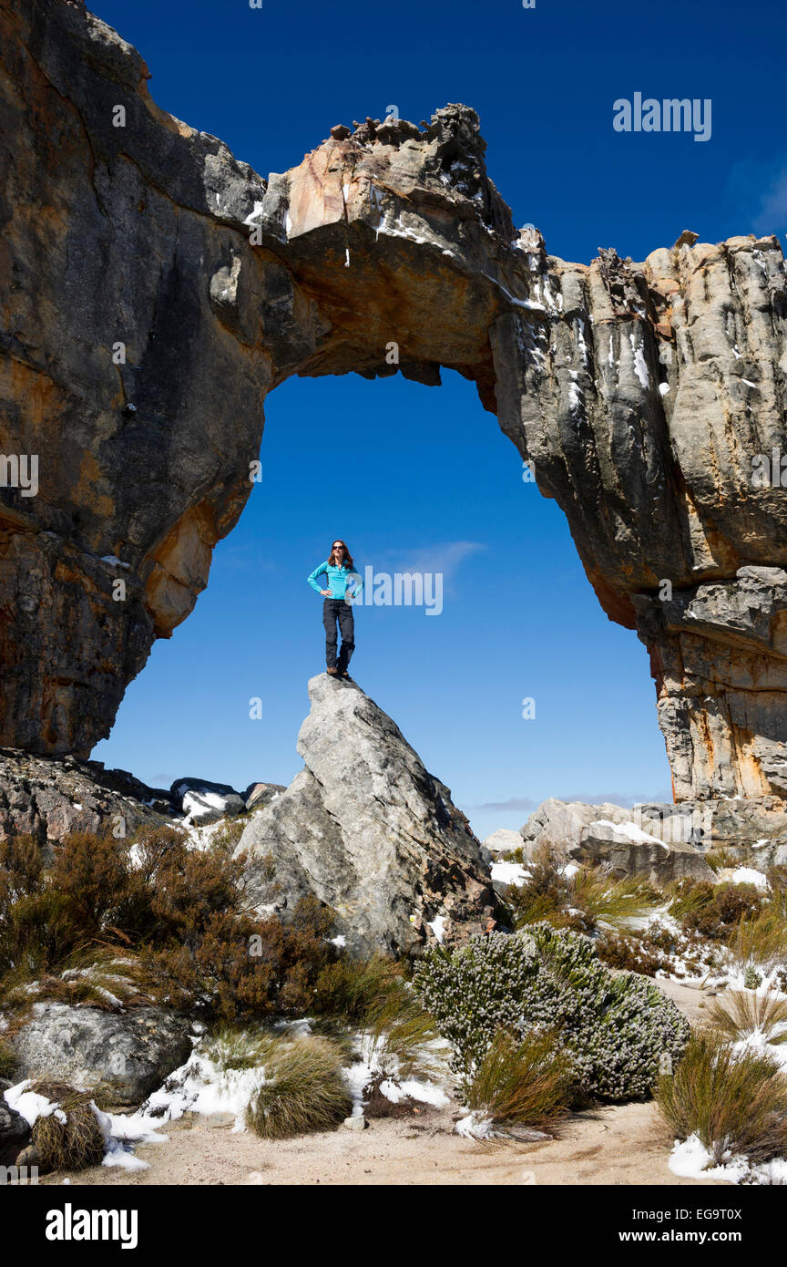 Wolfberg hi-res stock photography and images - Alamy