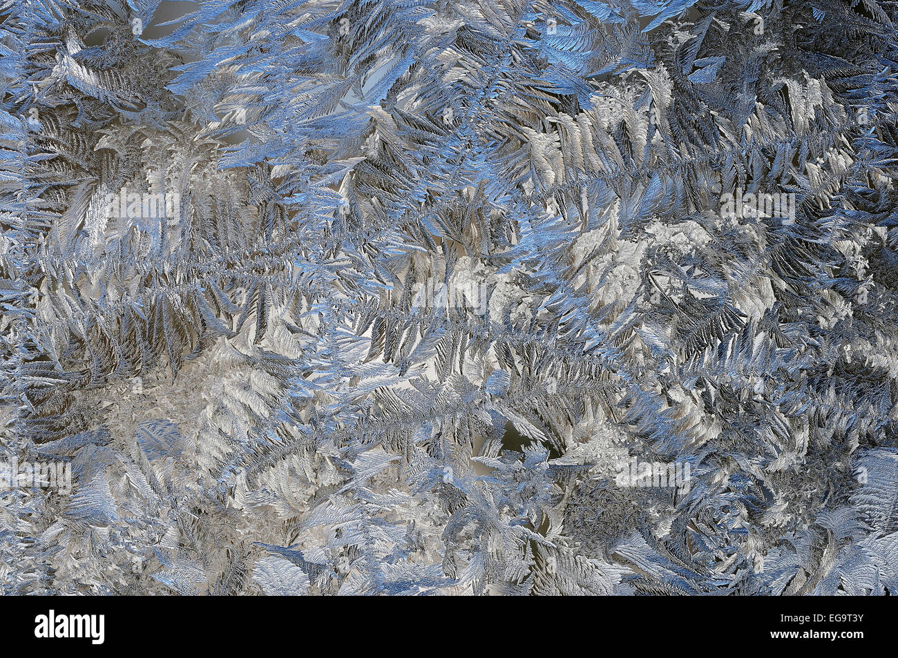 Frozen ice crystals on window pane Stock Photo - Alamy