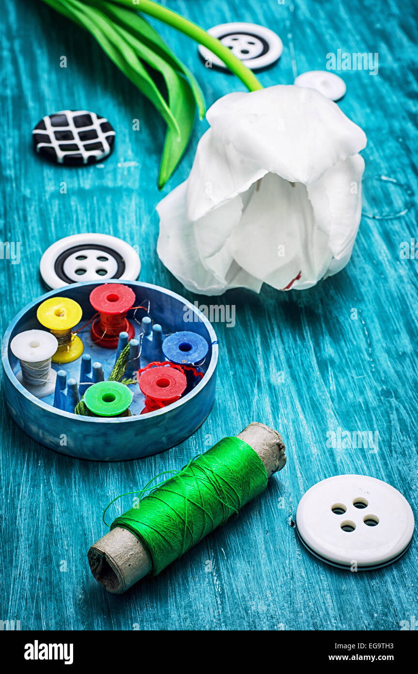 one white tulip and buttons with threads on turquoise wooden background ...