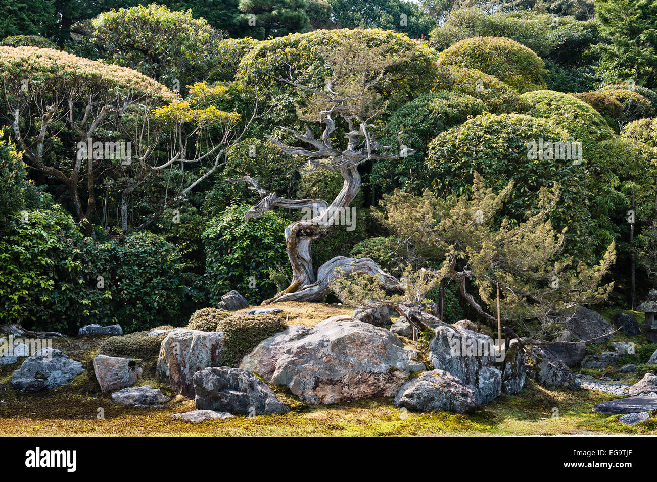 Konchi in temple buddhist temple kyoto japan hi-res stock photography ...