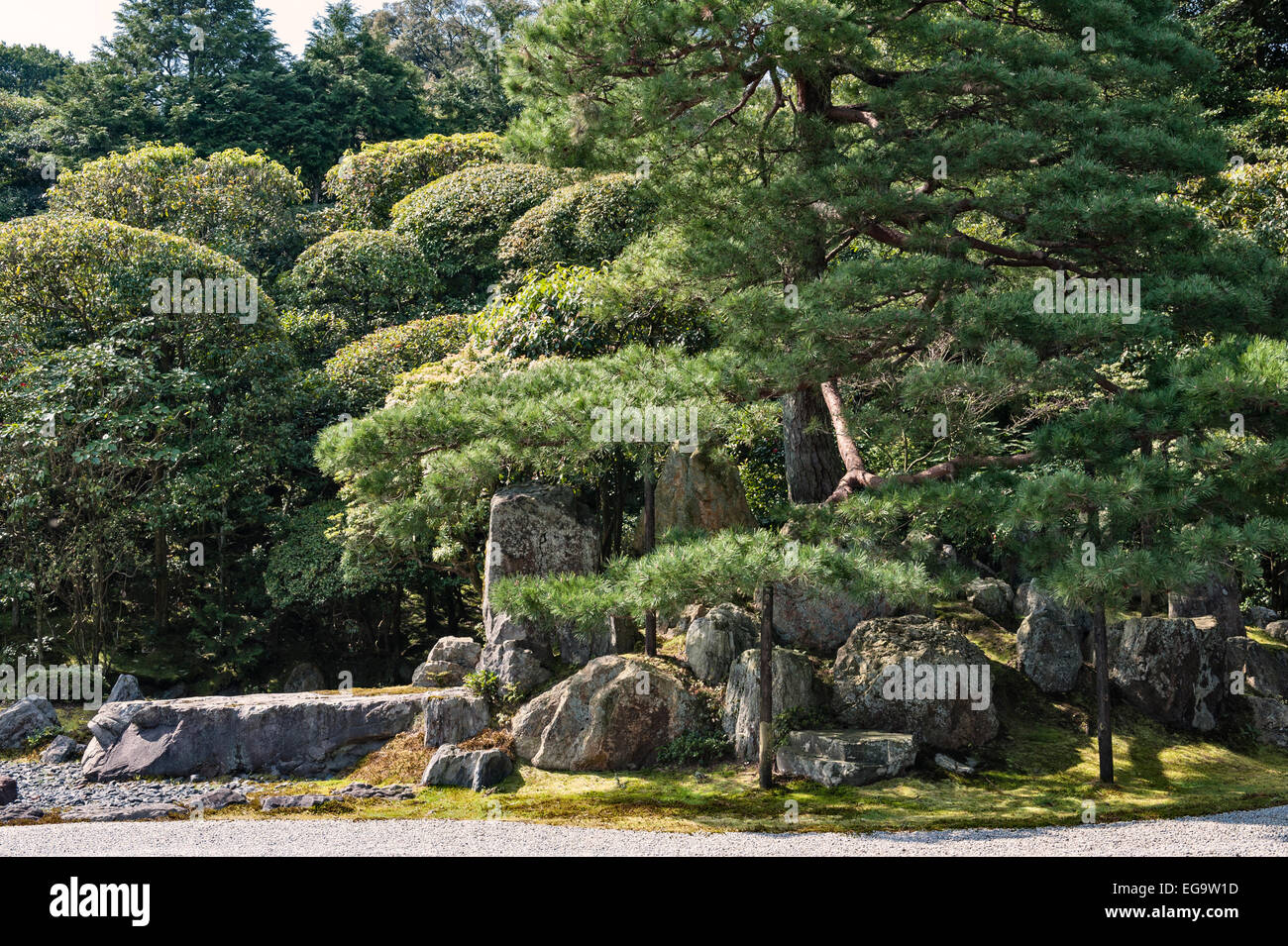 Konchi in temple buddhist temple kyoto japan hi-res stock photography ...