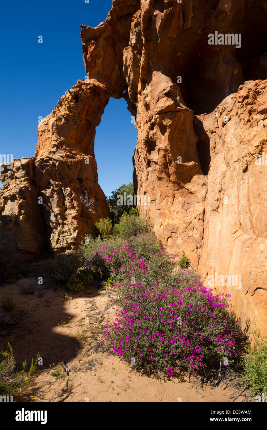 Rock formation at Stadsaal caves, Cederberg Wilderness, South Africa ...