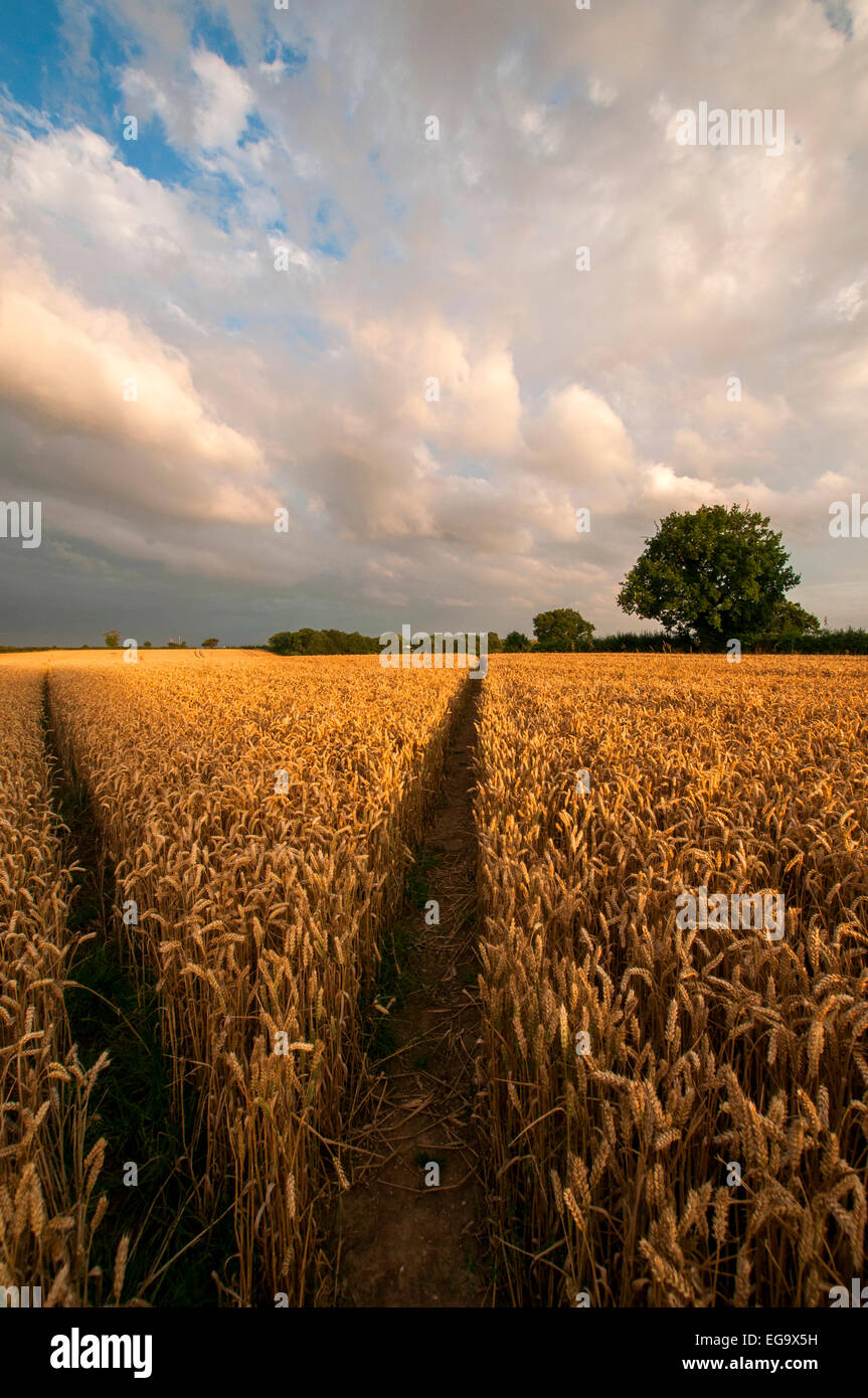 Lambley nottinghamshire hi-res stock photography and images - Alamy