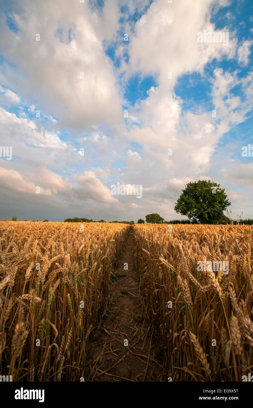 Lambley nottinghamshire hi-res stock photography and images - Alamy