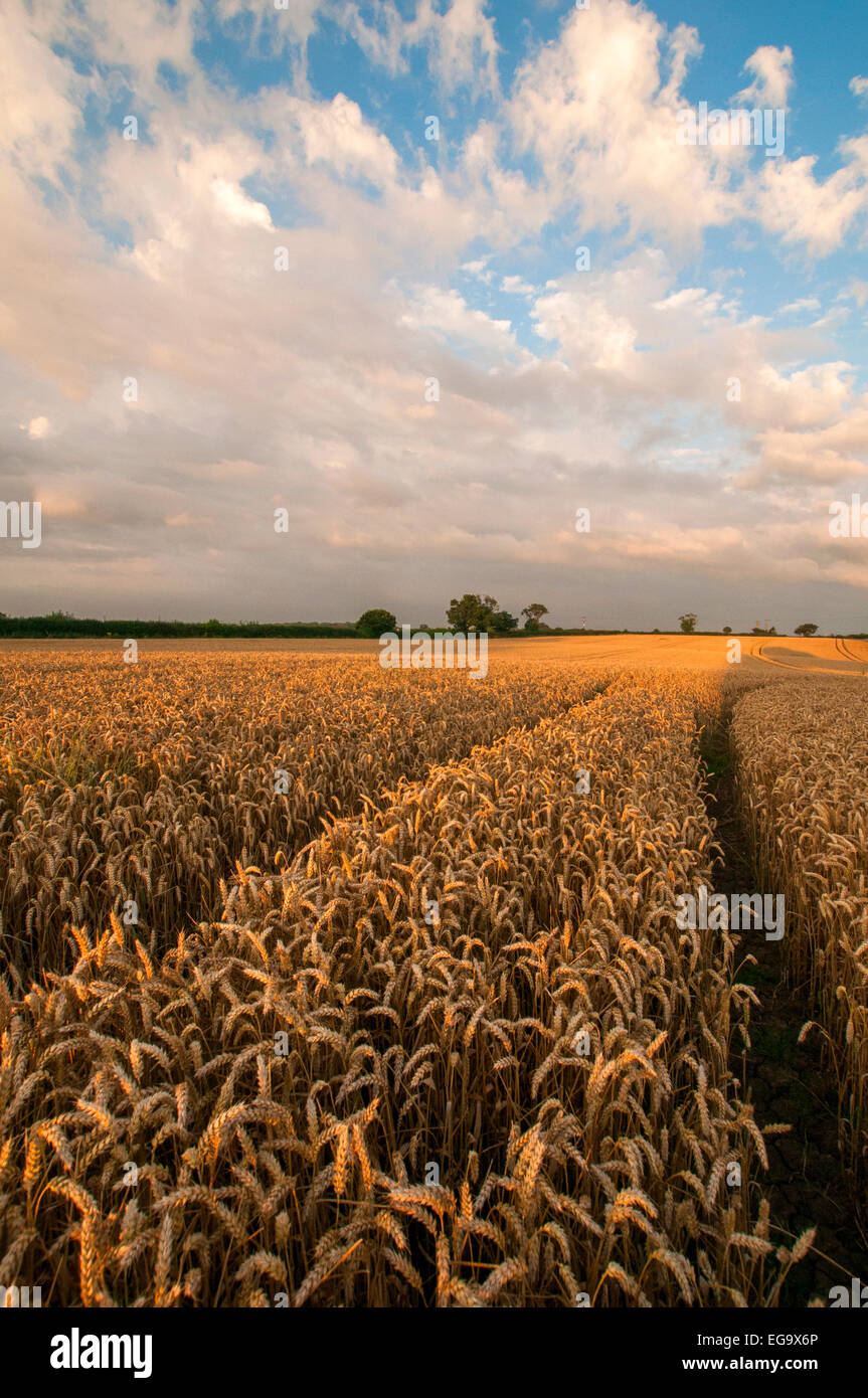 Lambley nottinghamshire hi-res stock photography and images - Alamy