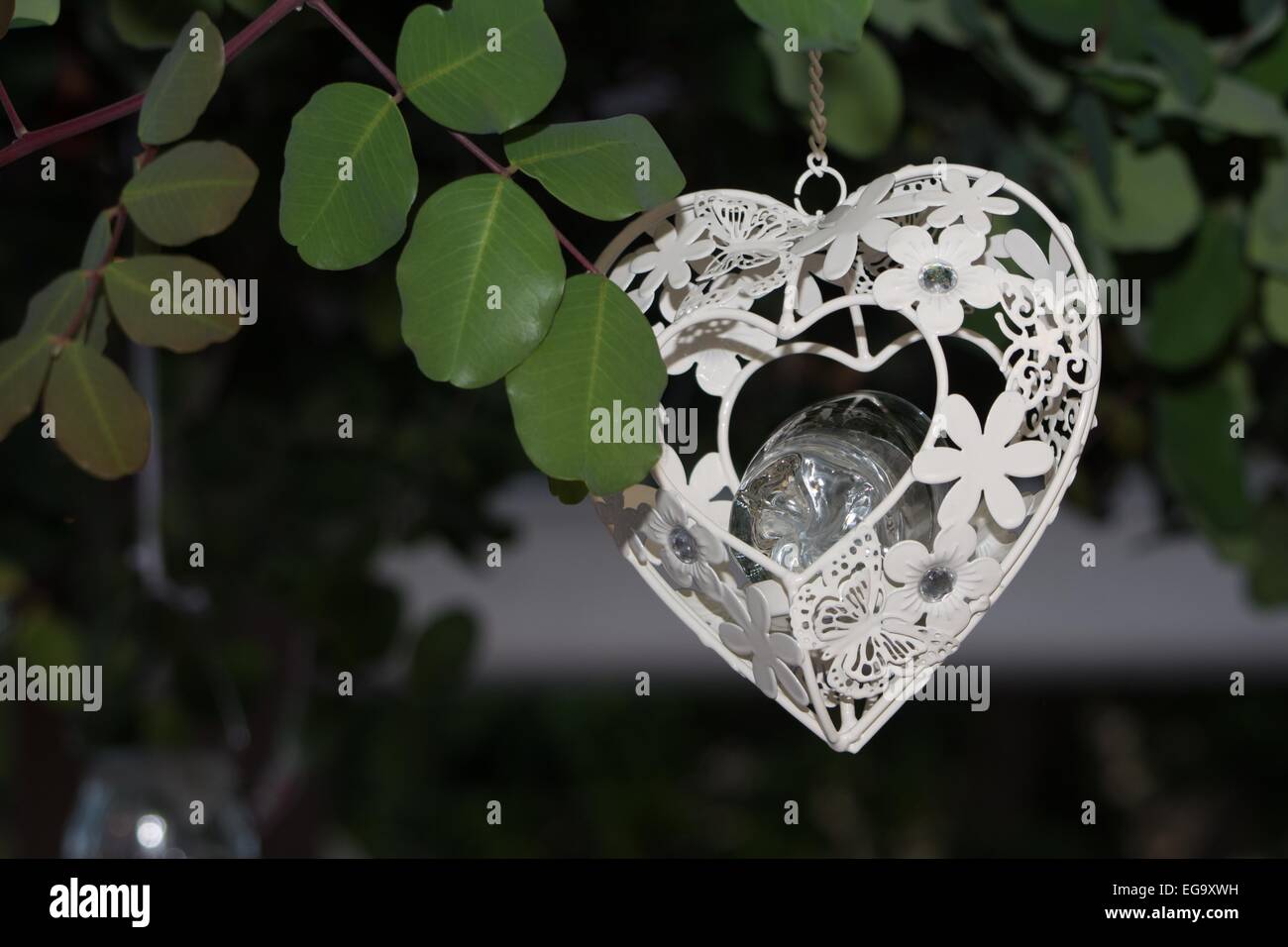 The love light hi-res stock photography and images - Alamy