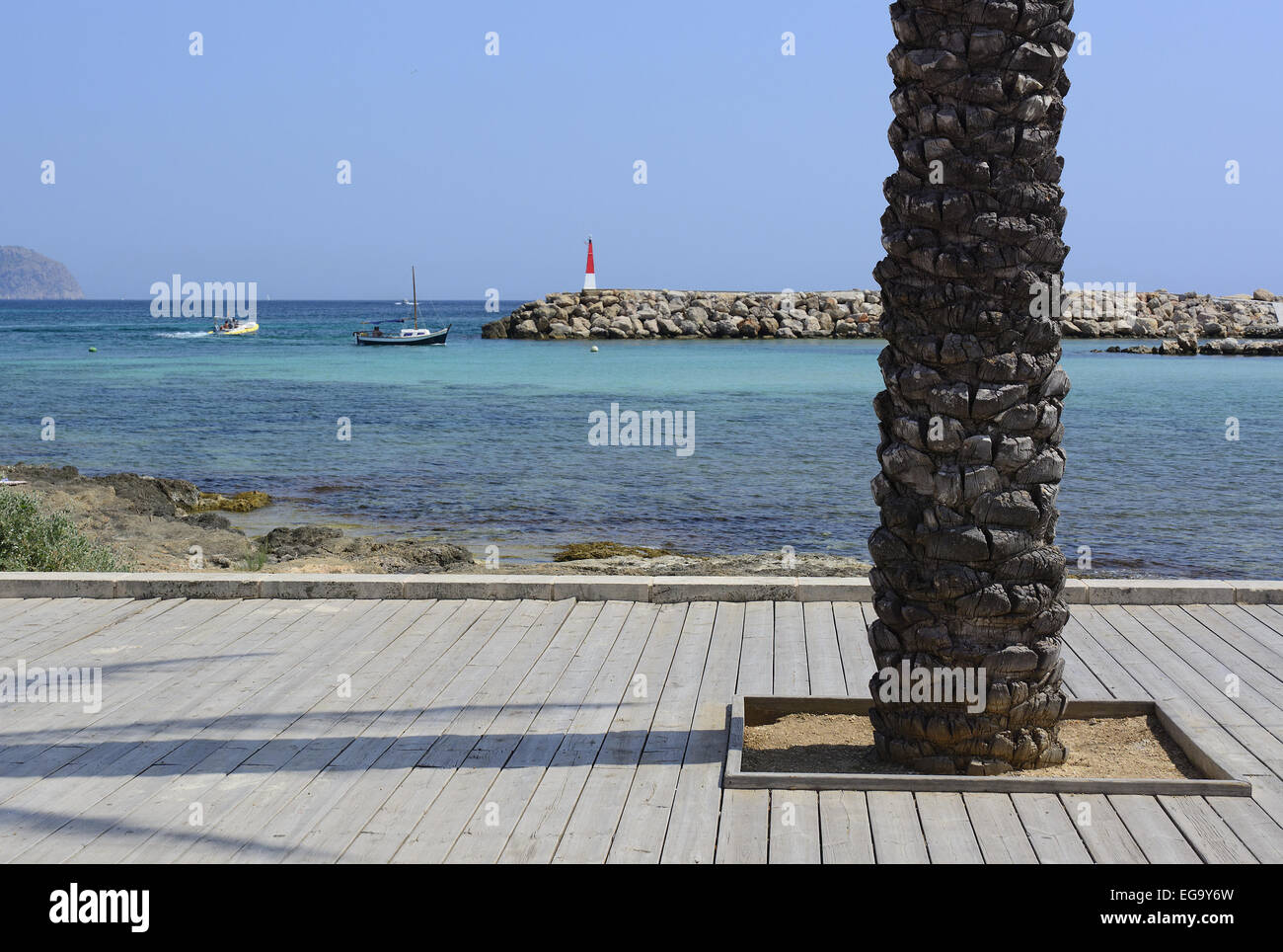 Palm tree trunk and jetty in Can Picafort, Majorca, Balearic islands ...