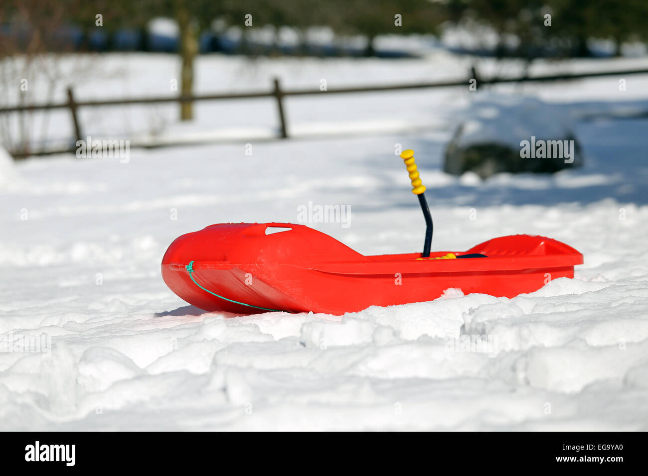 Red bob in the snow in the mountains in winter Stock Photo - Alamy