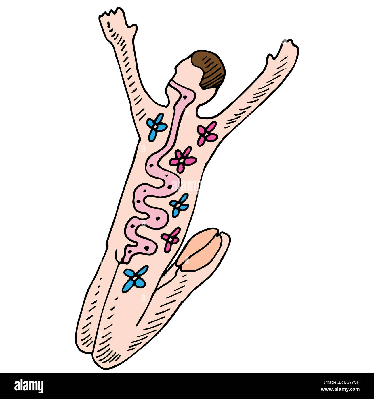 An image of a man jumping with healthy digestion Stock Photo - Alamy