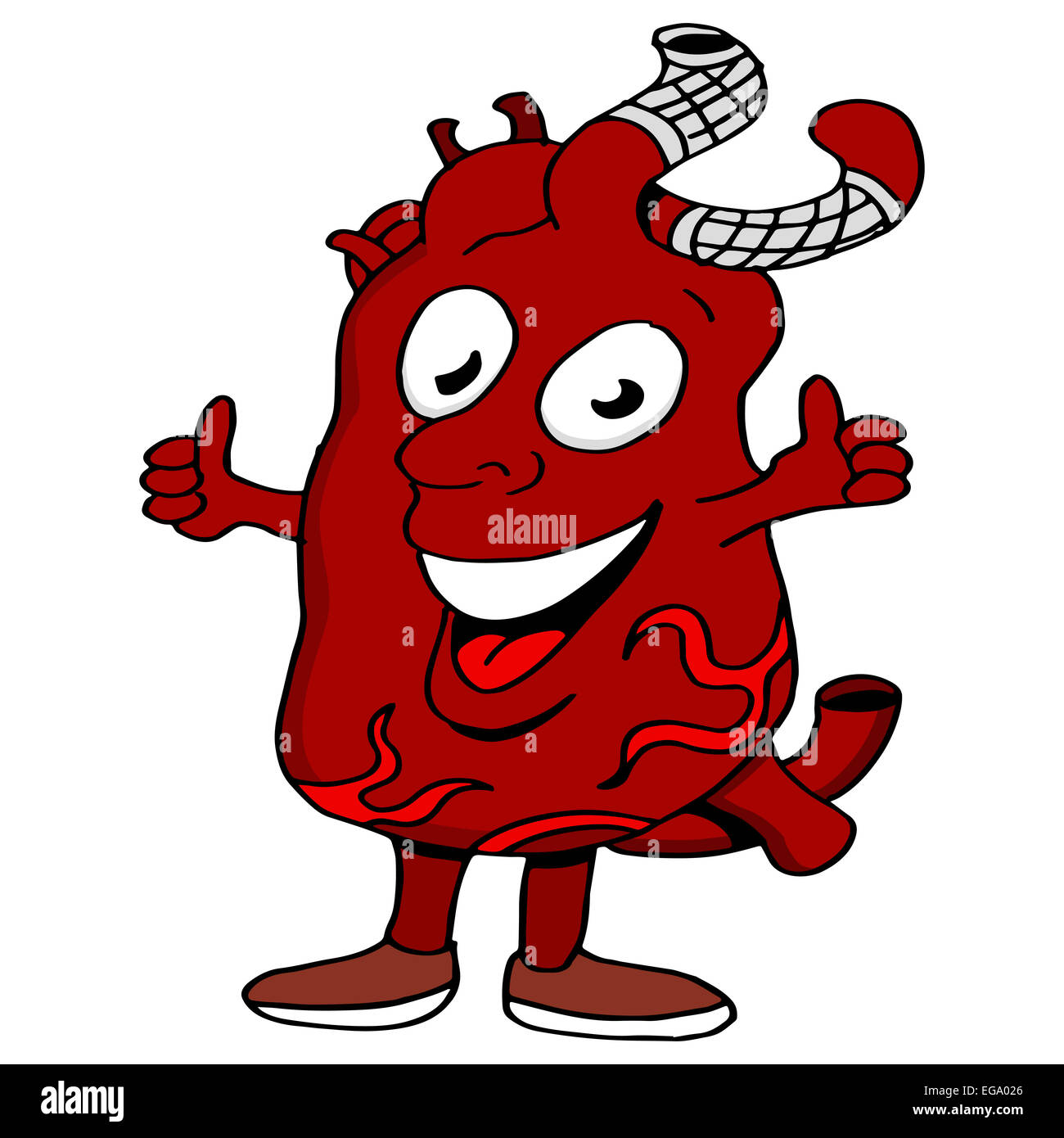 Stent heart Cut Out Stock Images & Pictures - Alamy