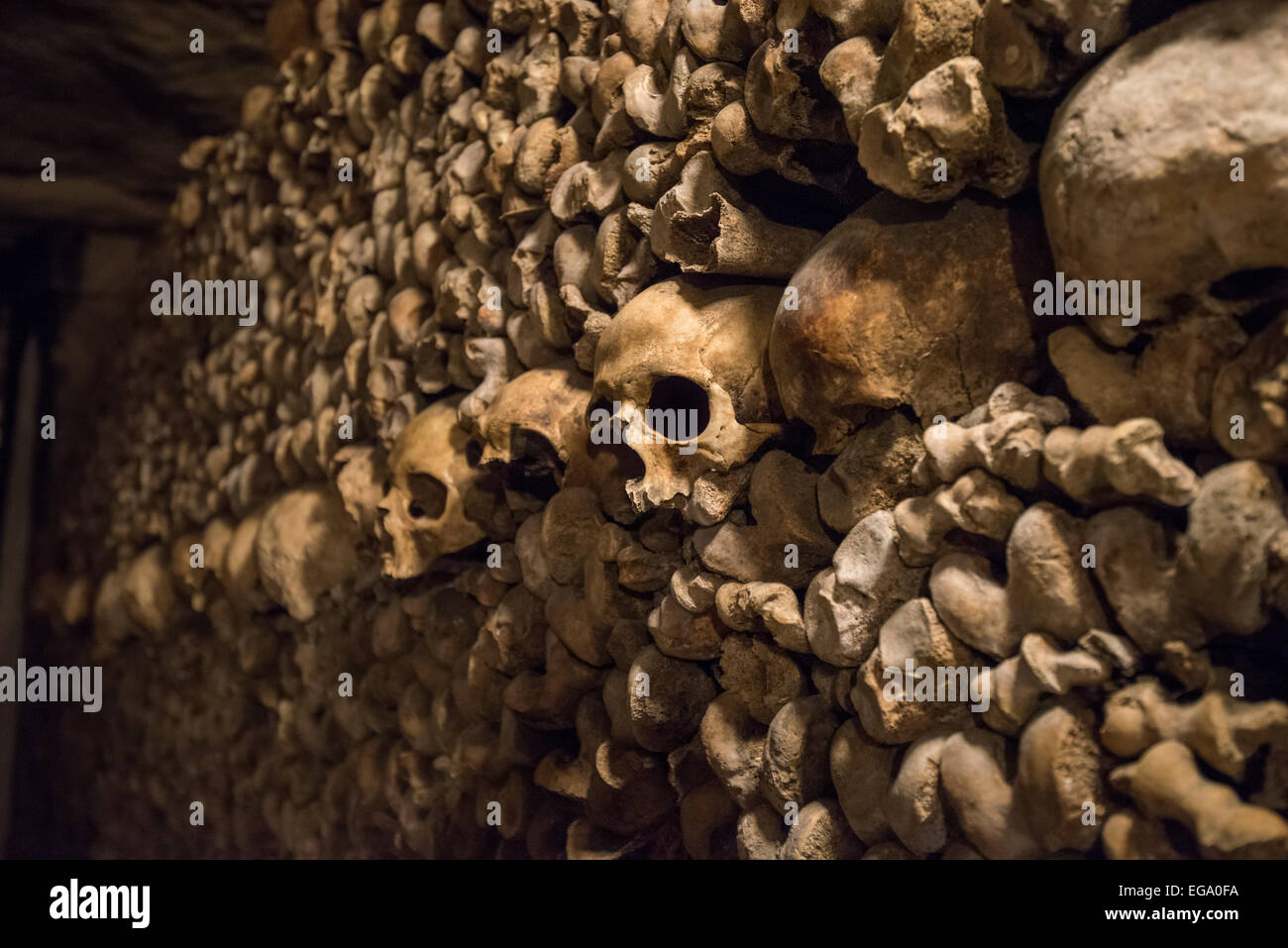 Catacombs human skulls bones hi-res stock photography and images - Alamy