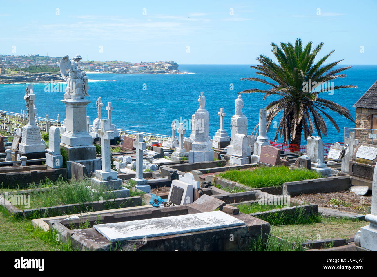 waverley cemetery in Bronte looking towards bondi beach,sydney ...