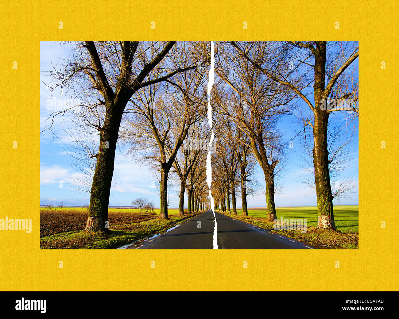 Tear up creative photo design background. Separation and destruction ...