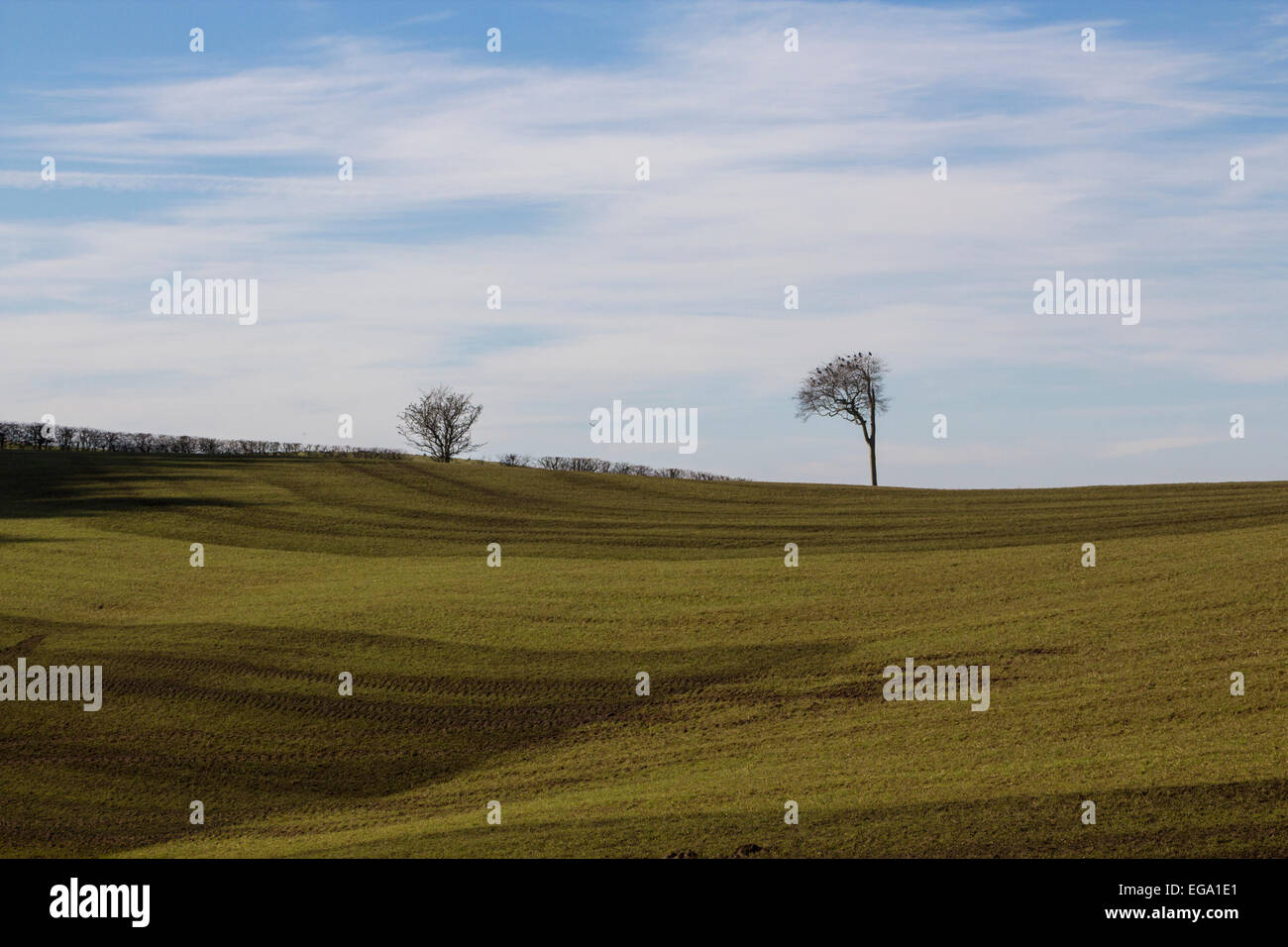 Uk farming landscape spring hi-res stock photography and images - Alamy
