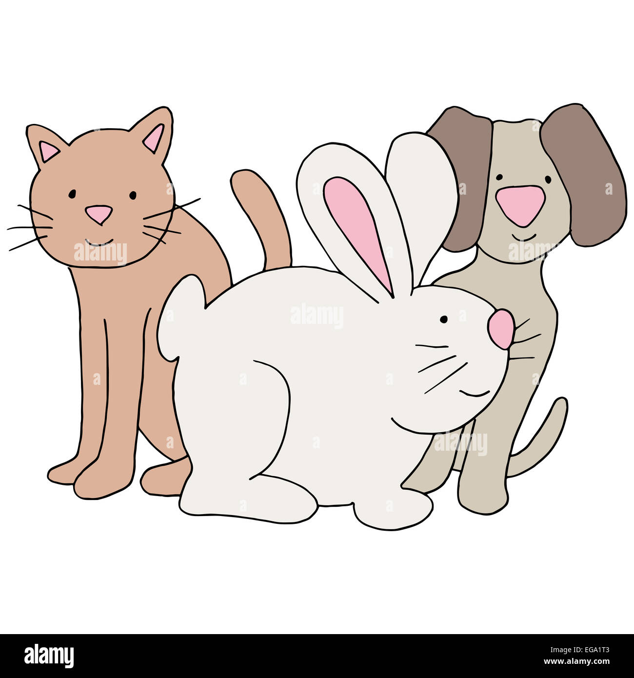 Puppy kitten rabbit hi-res stock photography and images - Alamy