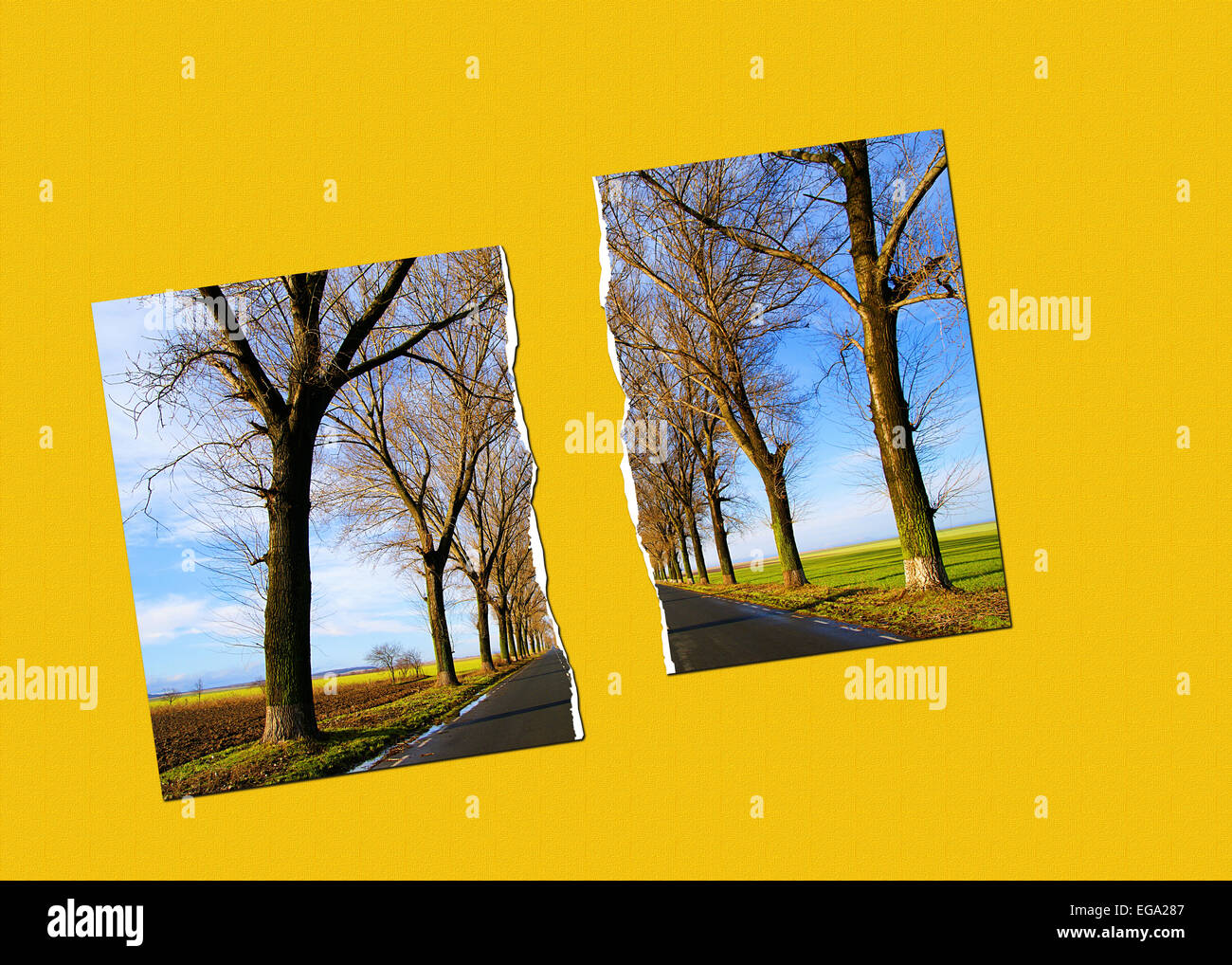 Tear up creative photo design background. Separation and destruction ...