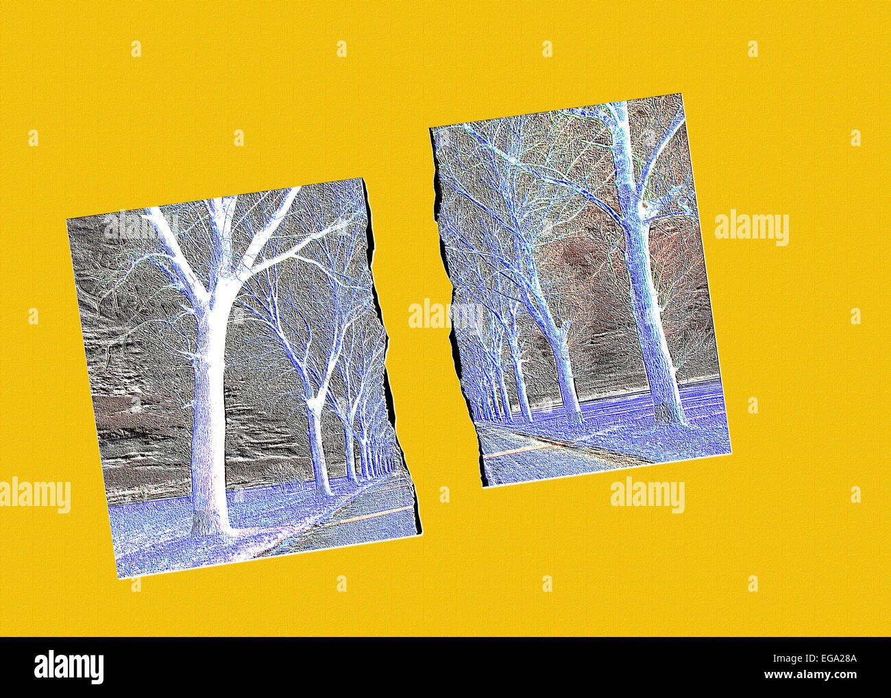 Tear up creative photo design background. Separation and destruction ...