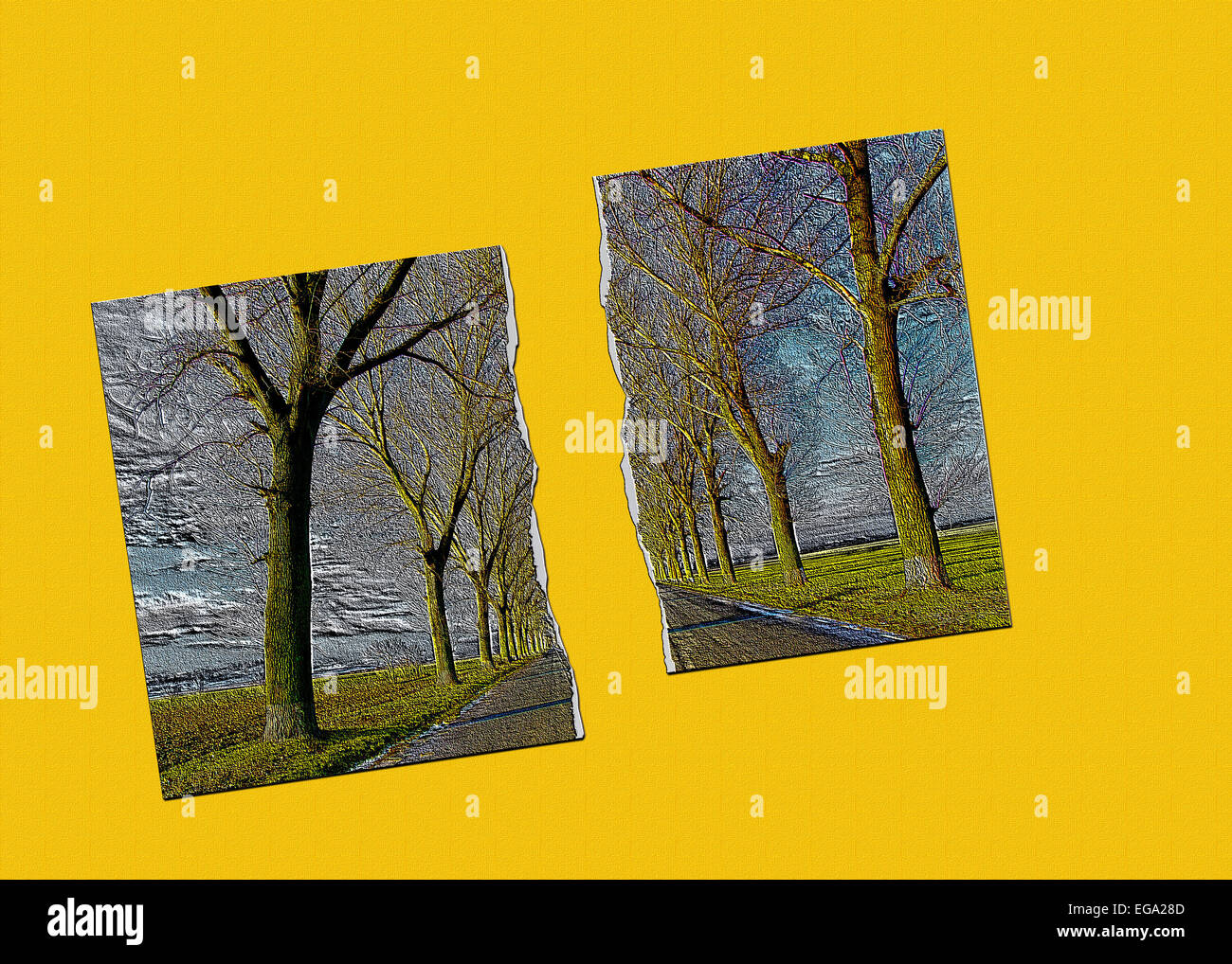 Ripped up calendar hi-res stock photography and images - Alamy