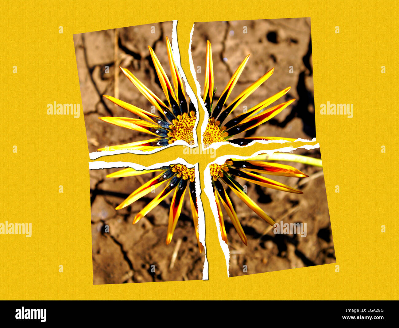 Tear up creative photo design background. Separation and destruction ...