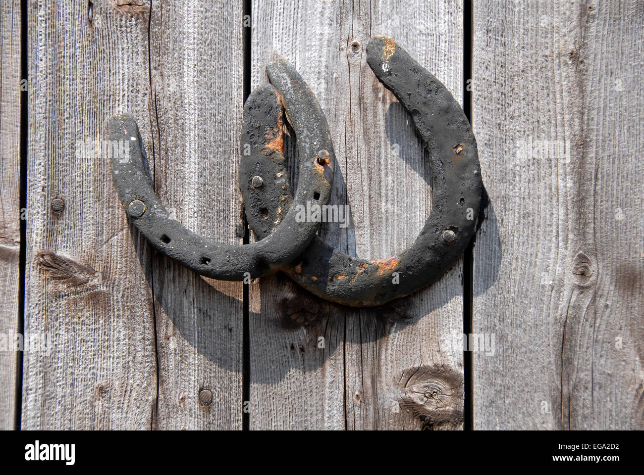 Two horseshoes hi-res stock photography and images - Alamy