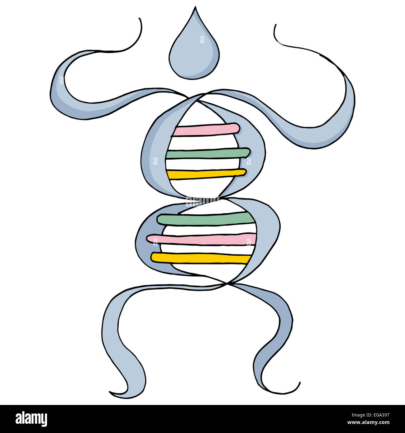 Dna vector cartoon hi-res stock photography and images - Alamy
