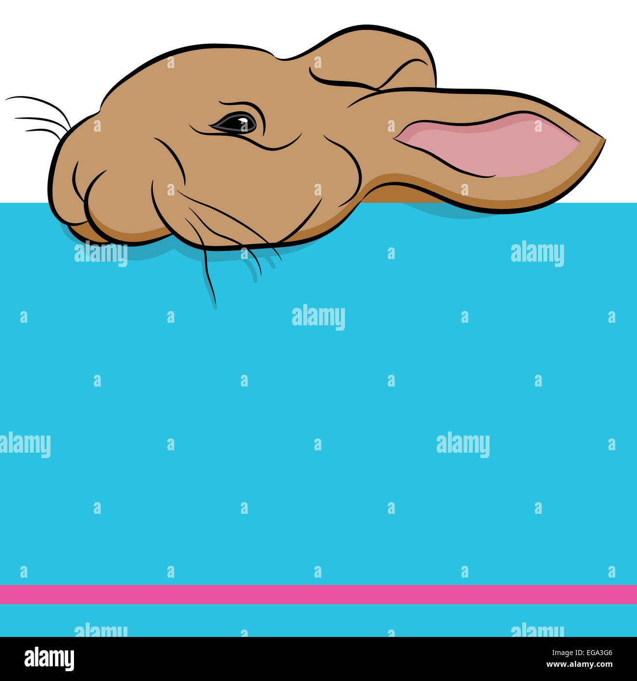 Peeking rabbit hi-res stock photography and images - Alamy