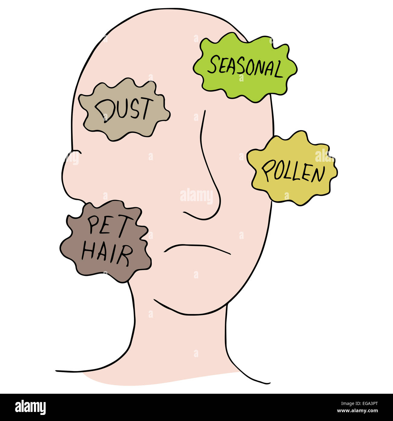 An image of allergy sources Stock Photo - Alamy