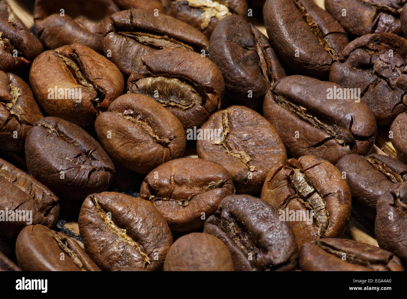 Rows of coffee beans hi-res stock photography and images - Alamy