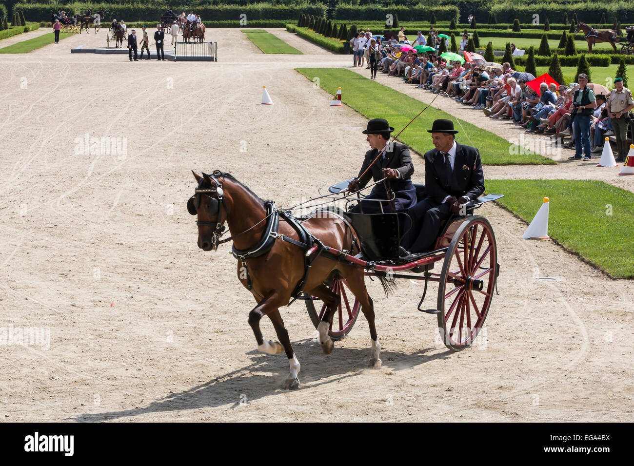 Horse hackney carriage two wheels hi-res stock photography and images ...
