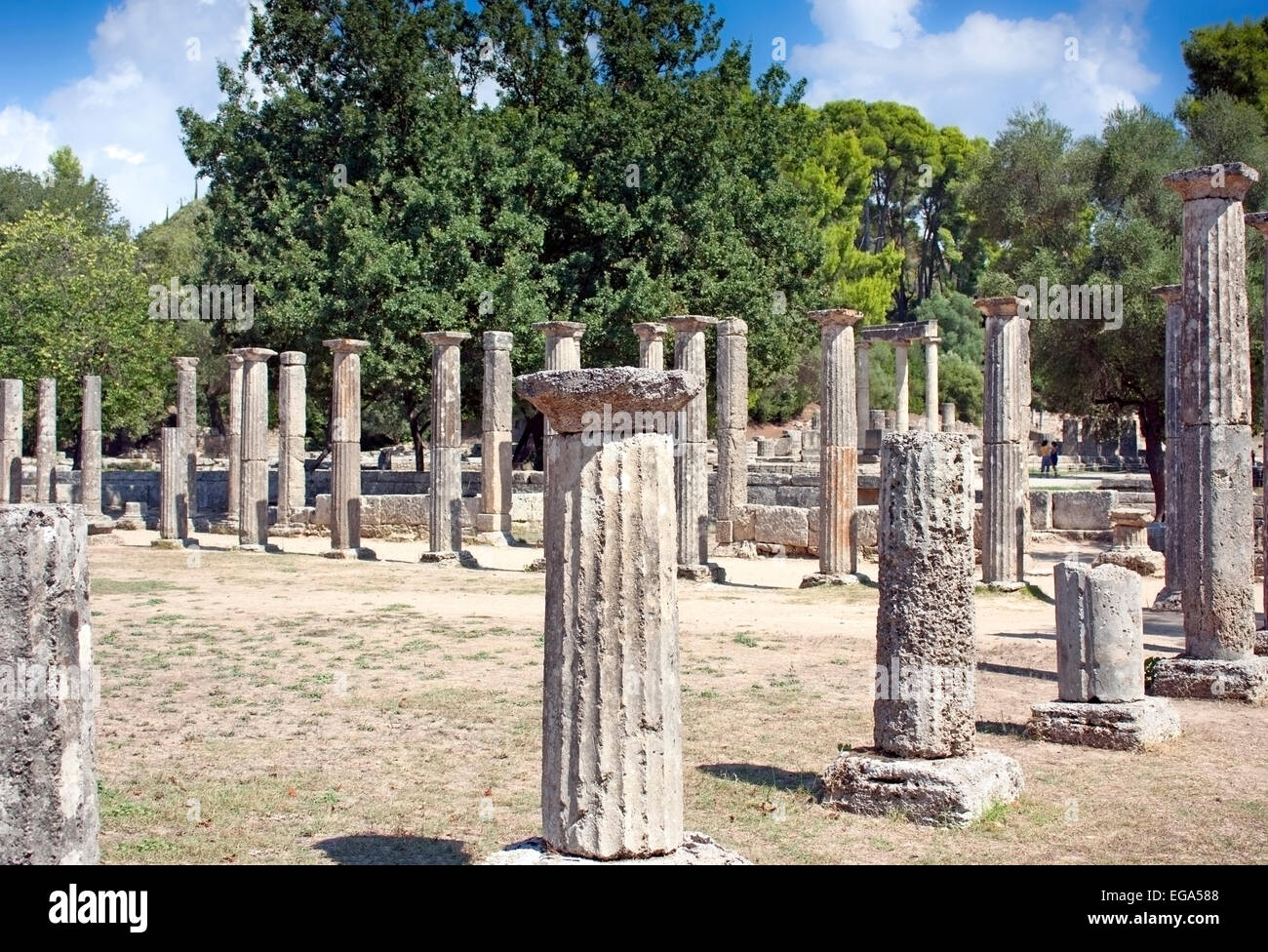 Doric columns in the ruins of the Palestra, Ancient Olympia, The ...