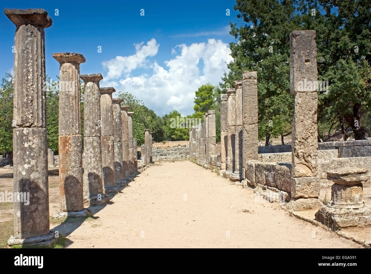 Doric columns in the ruins of the Palestra, Ancient Olympia, The ...