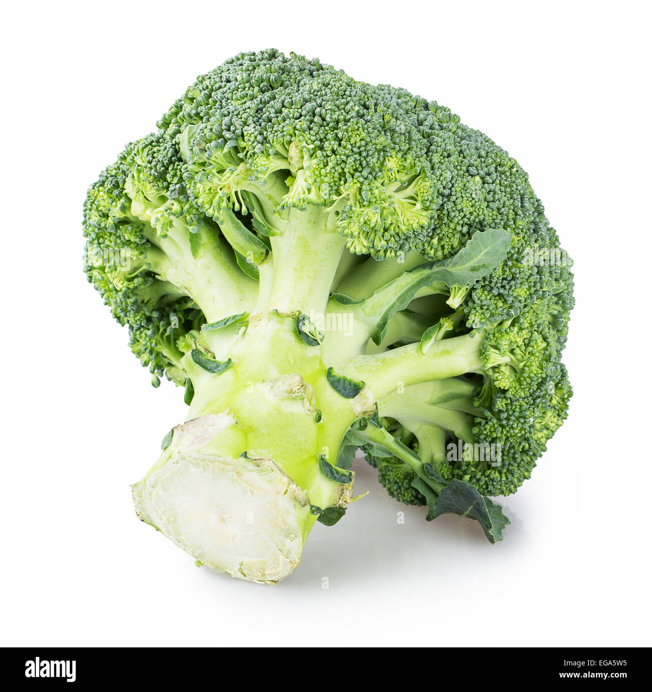 broccoli Isolated on white background Stock Photo - Alamy