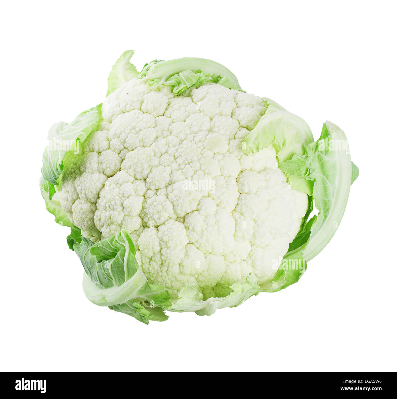 cauliflower Isolated on white background Stock Photo - Alamy