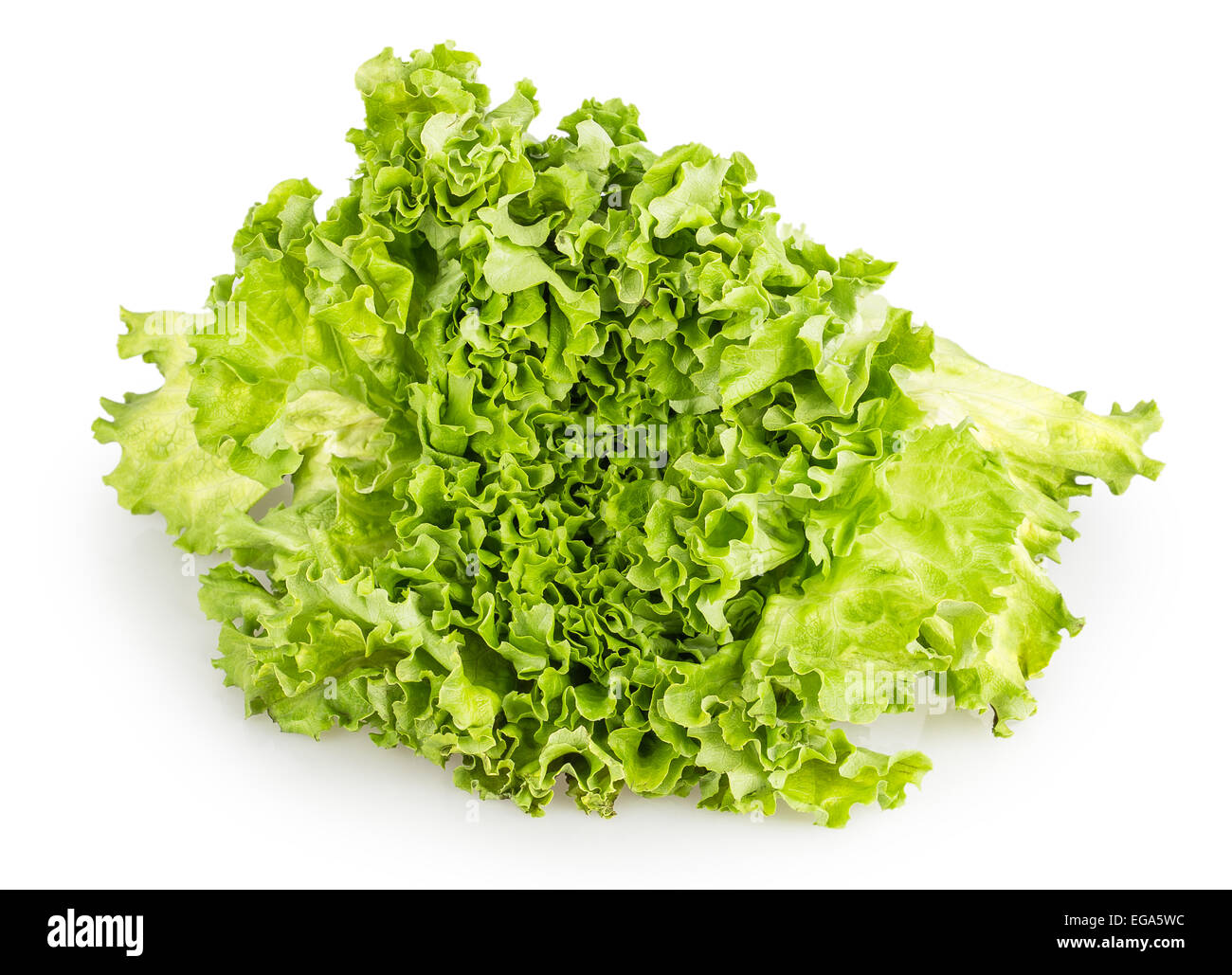 salad Isolated on white background Stock Photo - Alamy