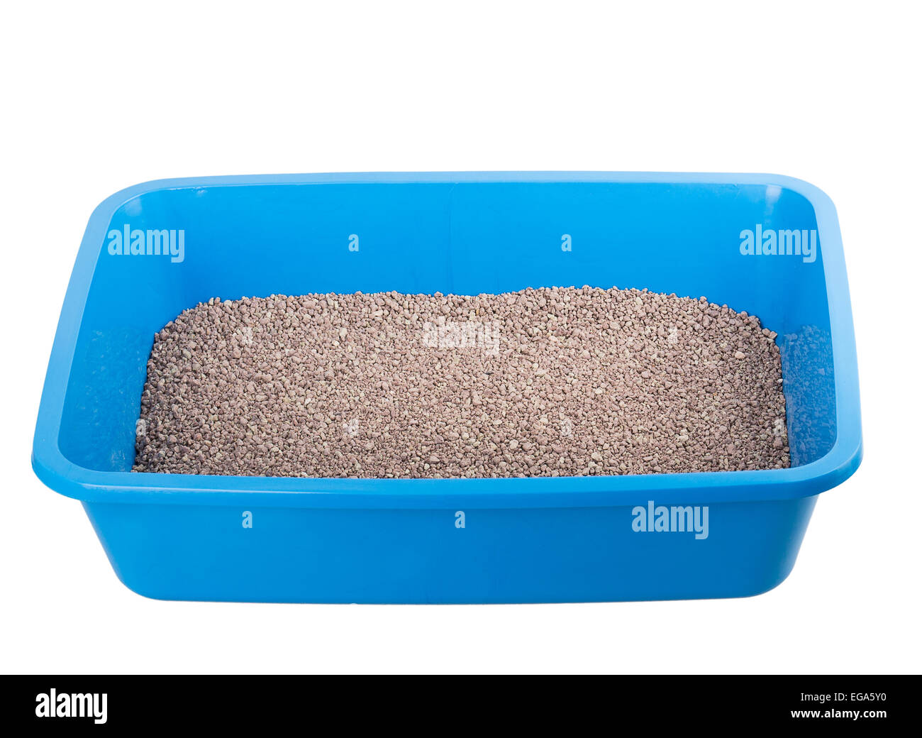 litter cat box litterbox isolated tray white kitten Stock Photo - Alamy