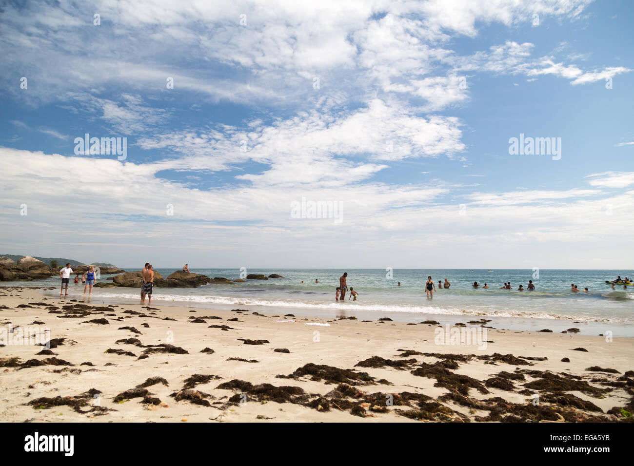 Vacationers at the beach and seaweed accumulations. Praia do Ribeiro is ...