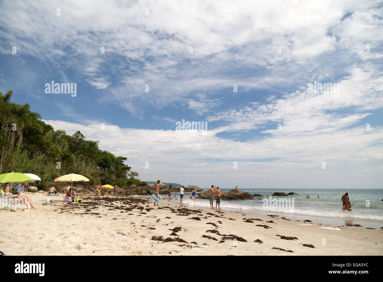 Vacationers at the beach, foot of the forest hill, Praia do Ribeiro is ...