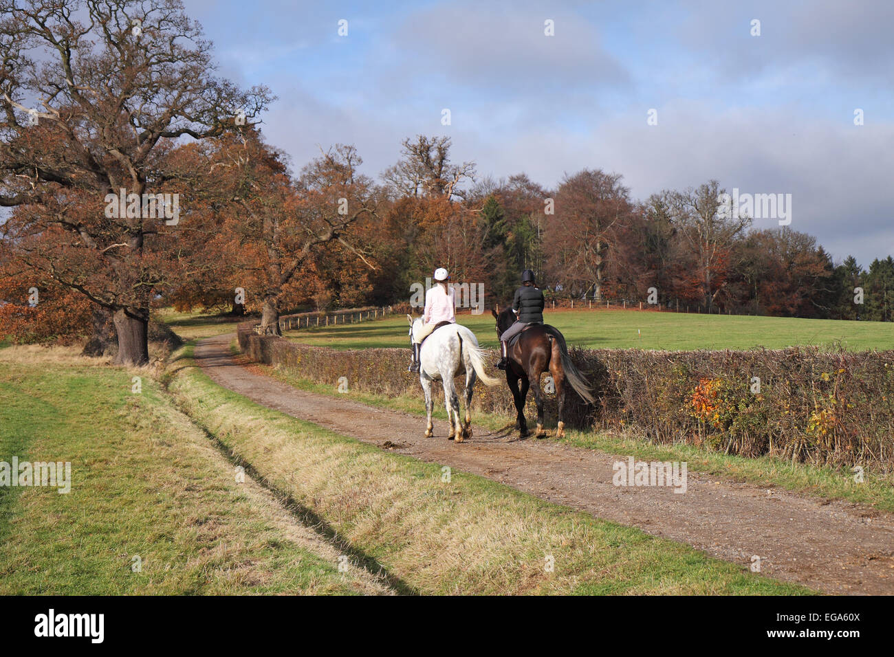 Two female riders on a rural English track in Autumn Stock Photo - Alamy